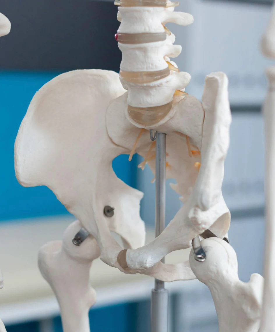 如何改善骨盆前傾 | Functional Patterns Taiwan